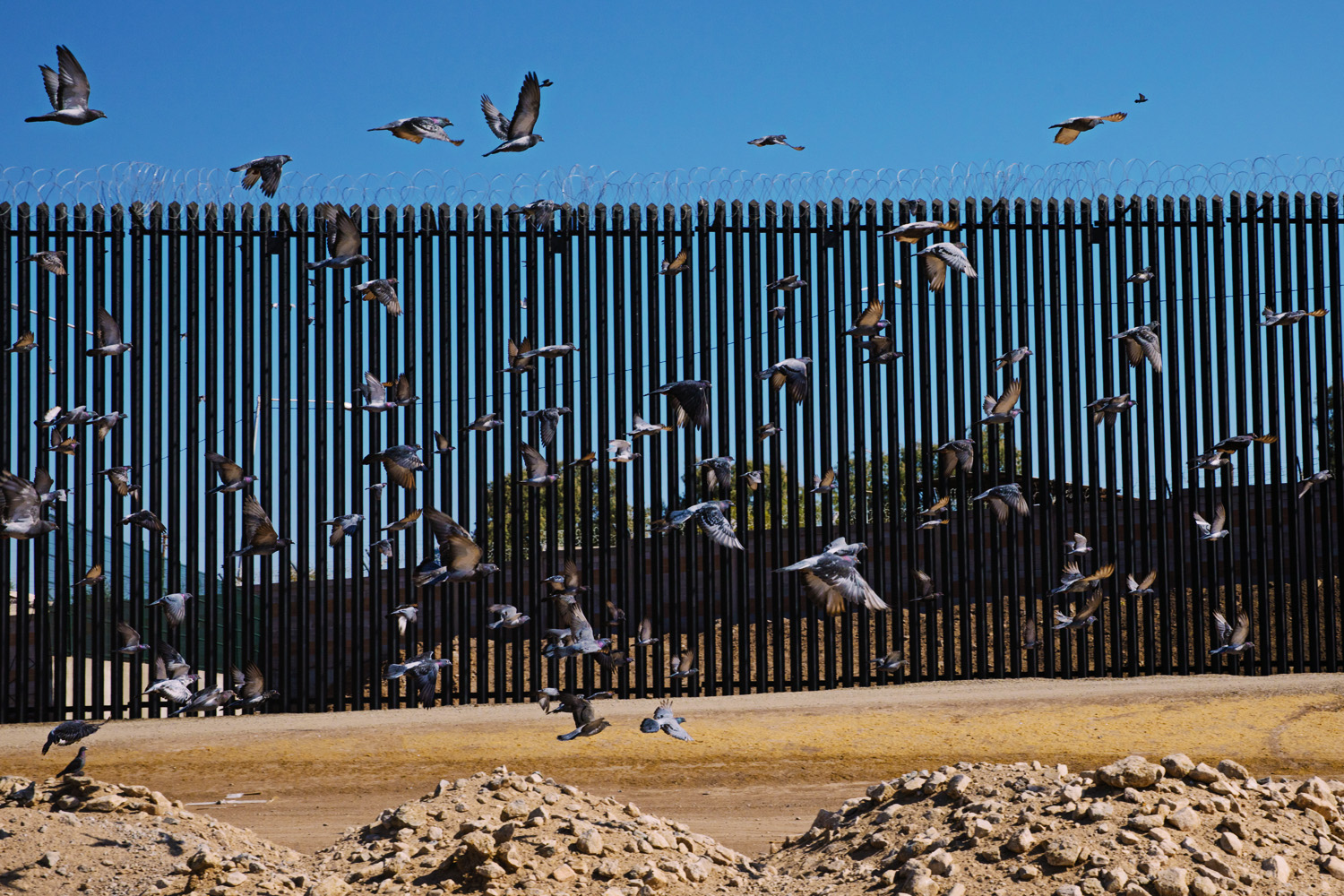 The Border Patrol | The New York Times – Kendrick Brinson
